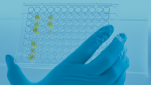 Your Trusted Partner in Immune-Monitoring | Immudex