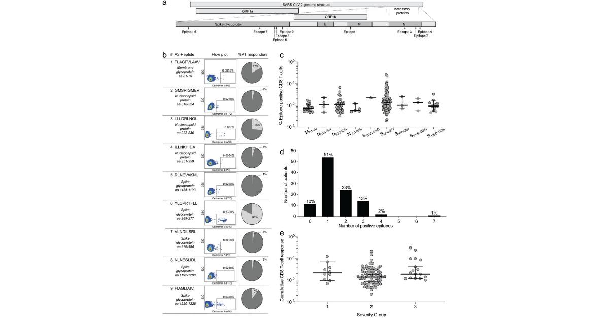 Reliable Measurement of SARS-CoV-2 T-cell Response with MHC I Dextramer ...