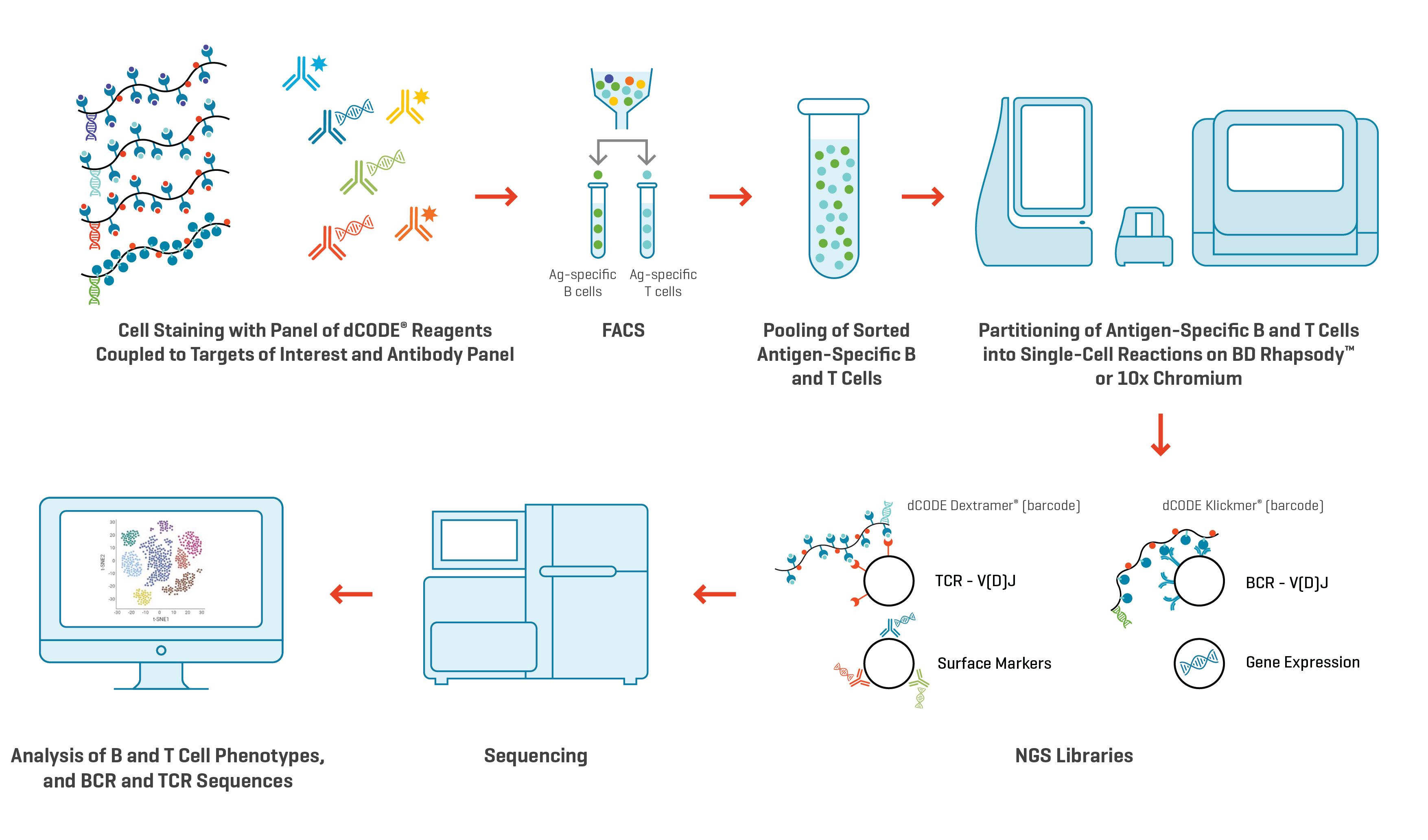 Characterizing Antigen Specific B And T Cells In A Single Sample With