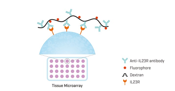 Navigating FDA Guidelines for CAR T Cell Therapy | Immudex