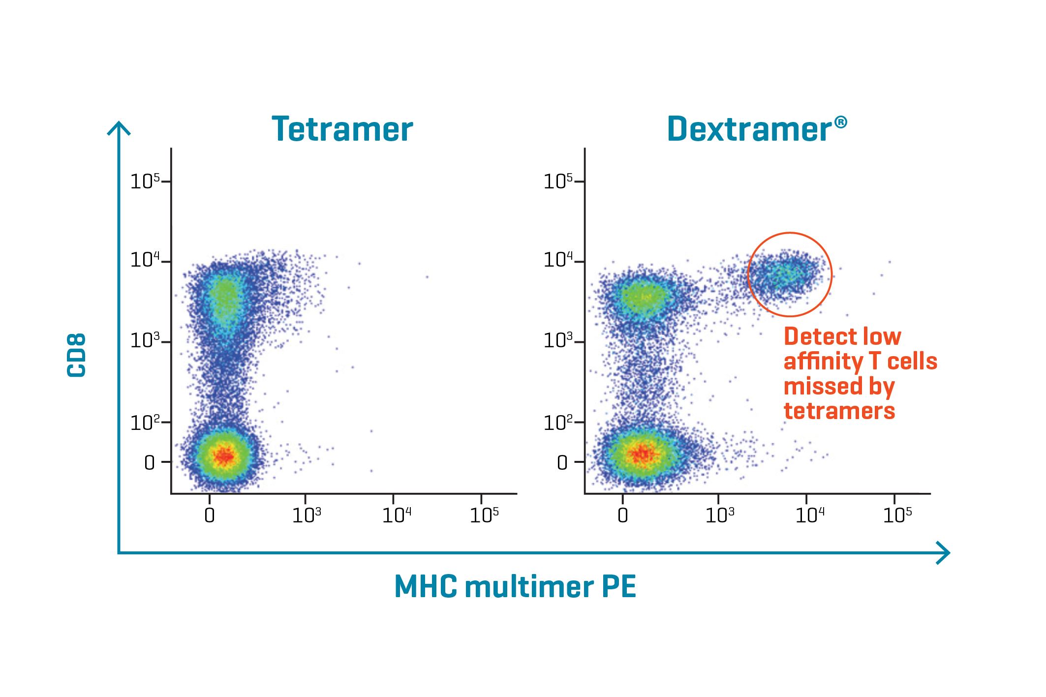 Our Technology | Immudex